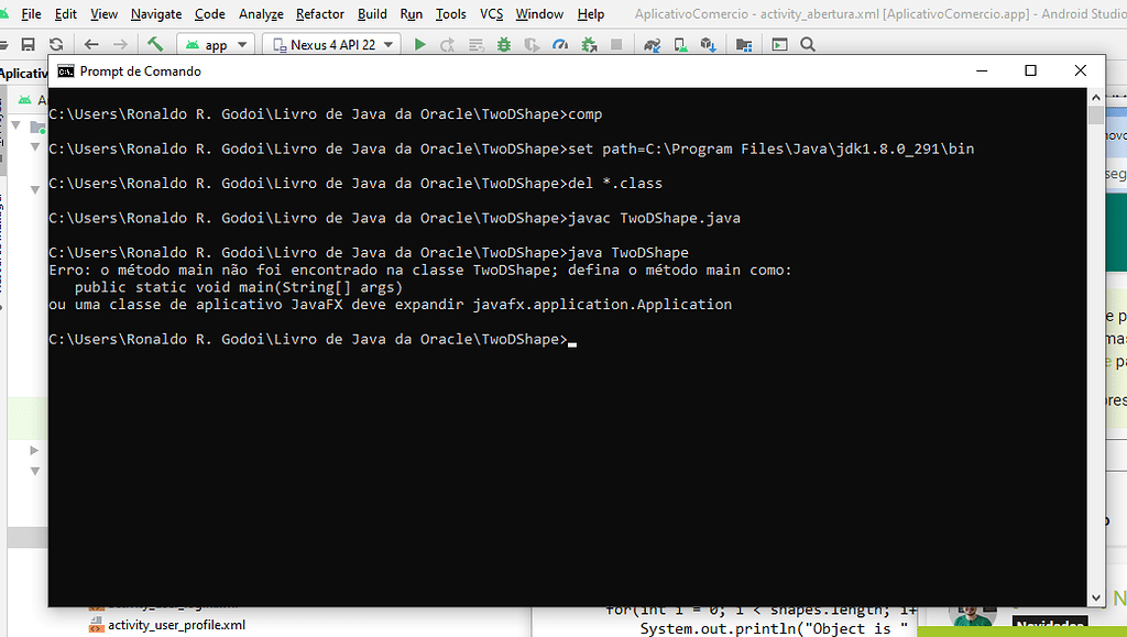 Compilação de Java está correta e ocorre erro na execução do programa ...