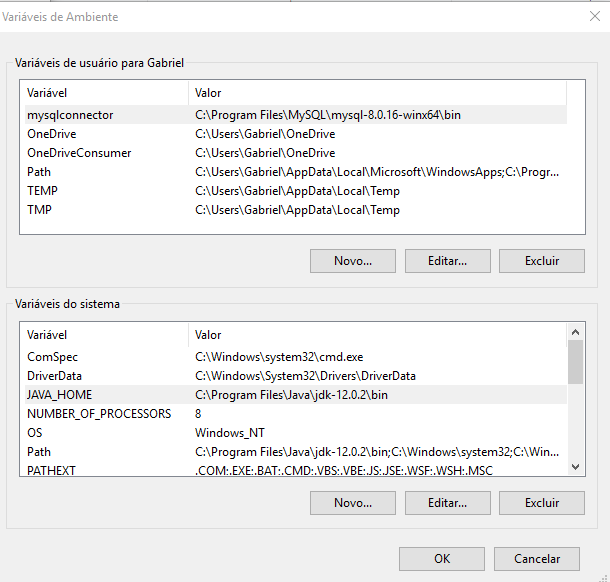 Problema ao instalar o netbeans 11 com jdk 12 - Java - GUJ